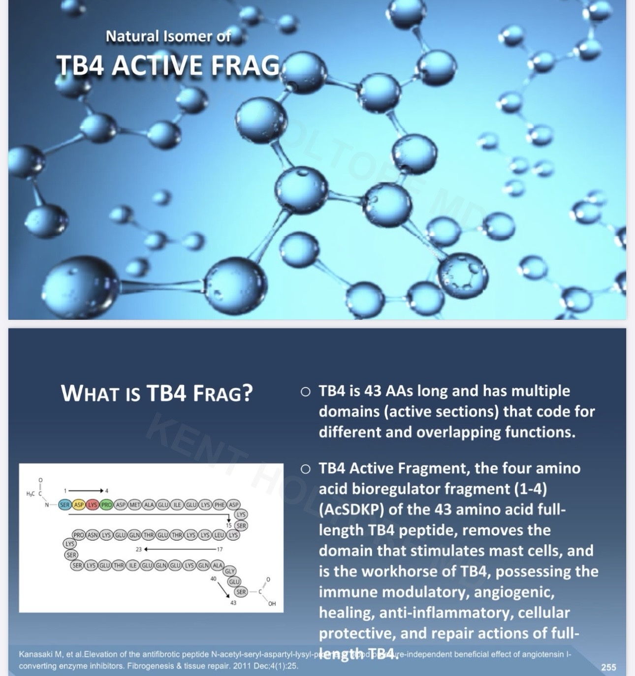 TB4‑Frag’s Edge on Tissue Healing – for all ages & stages! – Diary of ...
