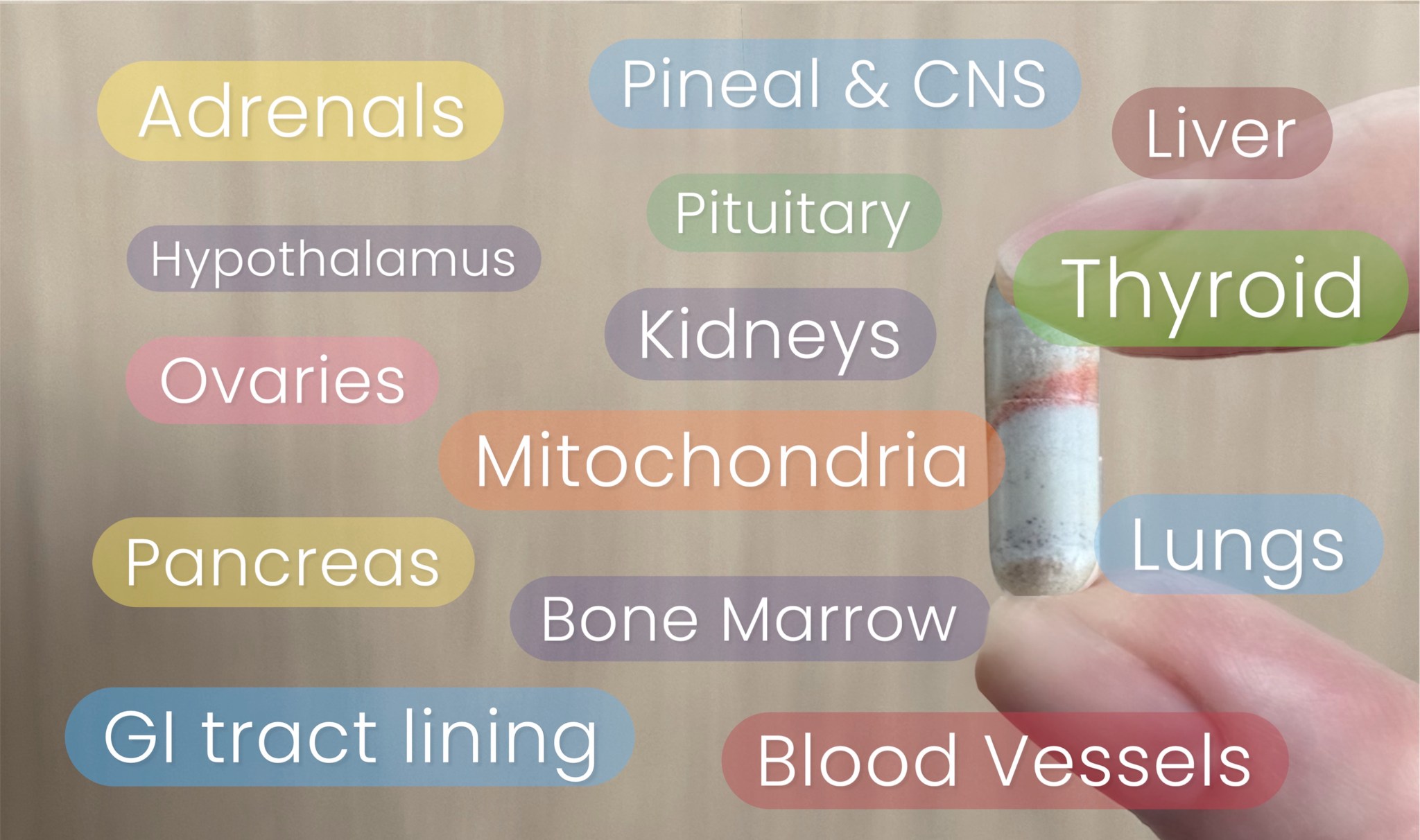 I’ll Show You Mine…. (peptide stack) – Diary of Recovery